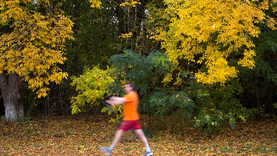 JoAP: Занятия спортом повышают концентрацию на работе