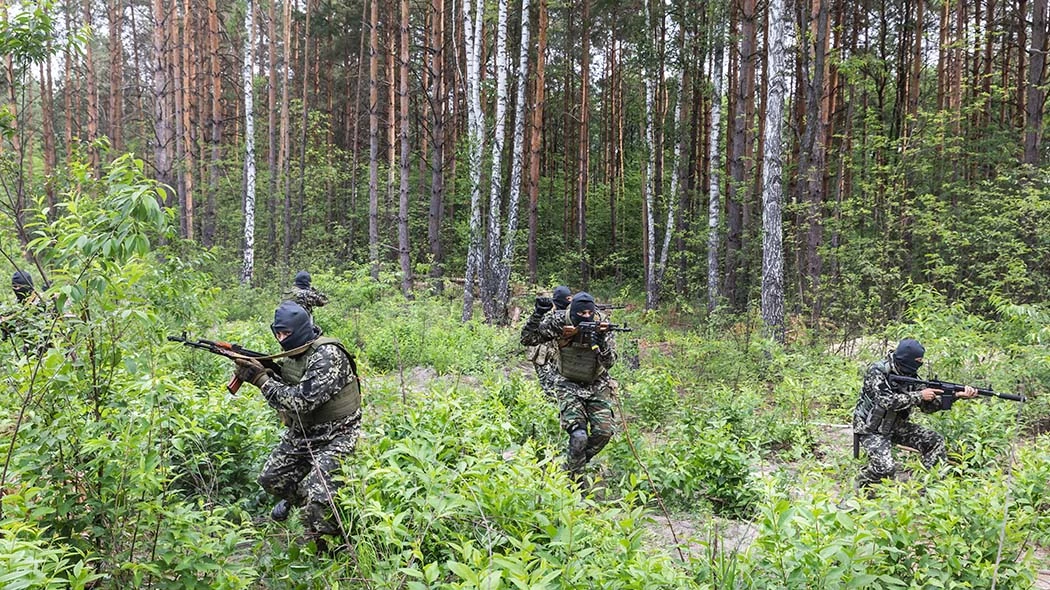 Обозреватель Роберт Фокс счел попытку наступления ВСУ на Херсон «более ...