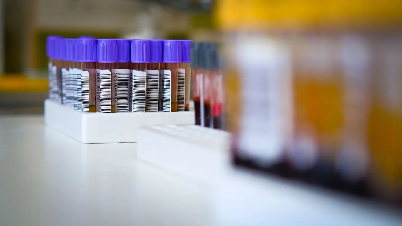 В ДРК обнаружили новый опасный штамм оспы обезьян, обладающий ...